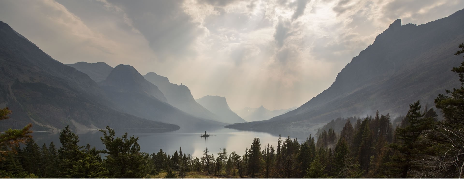 Aerva | Medical Cannabis